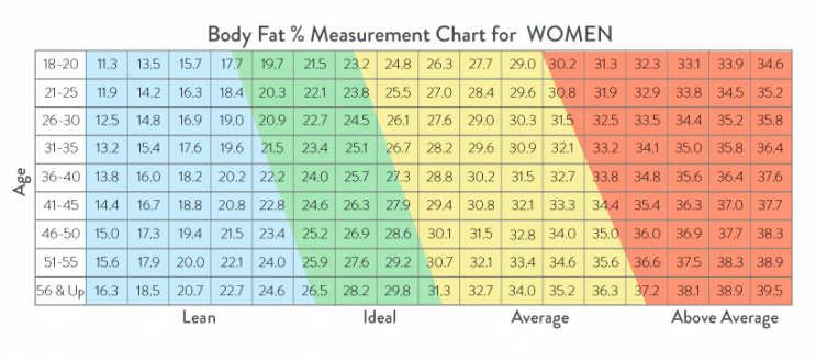 BMI Calculator Calculate Your Body Mass Index